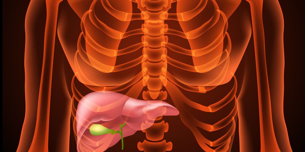 Safra Kesesi Anatomisi